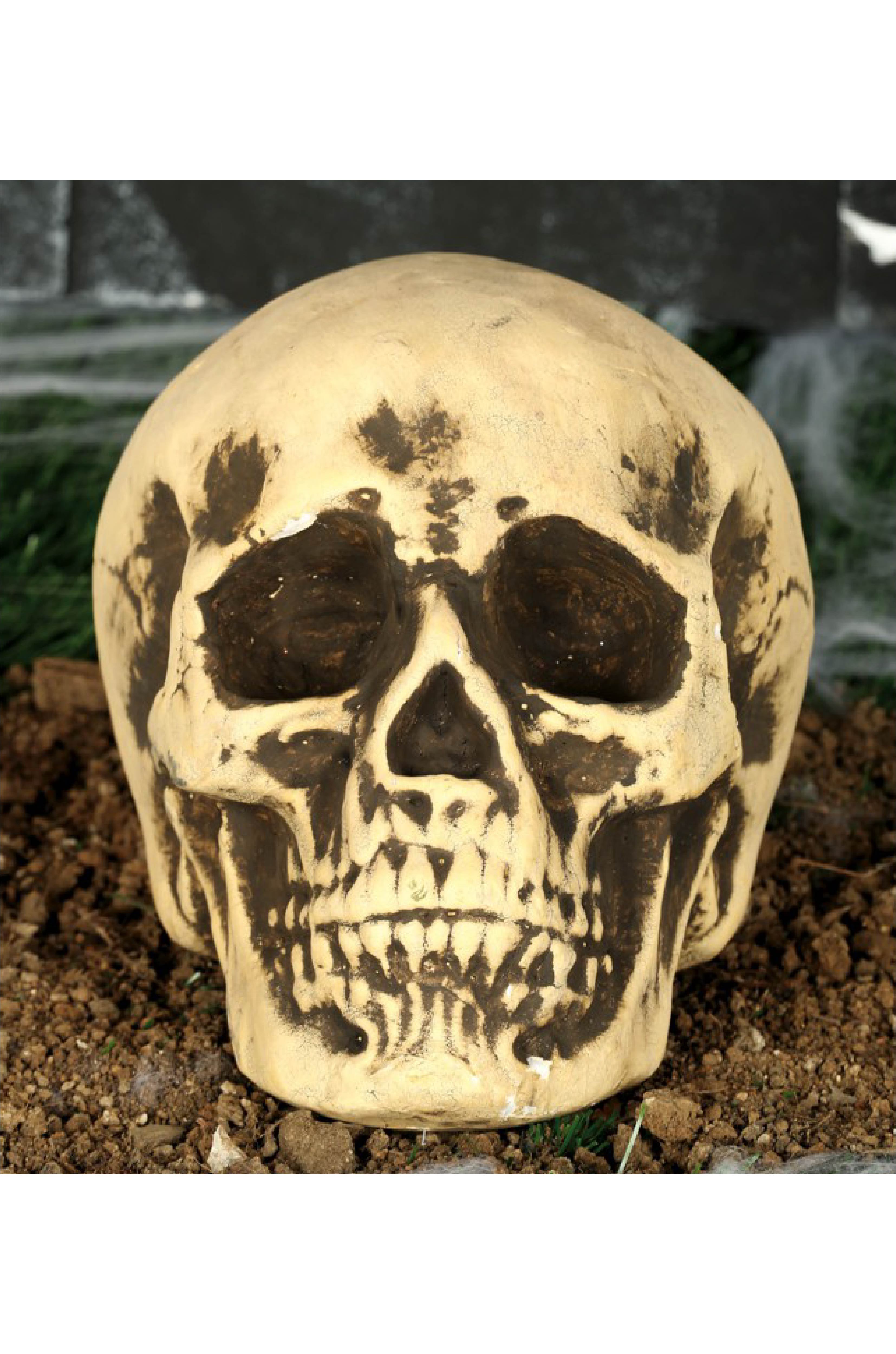 Foam Skull Decoration | PartyExperts