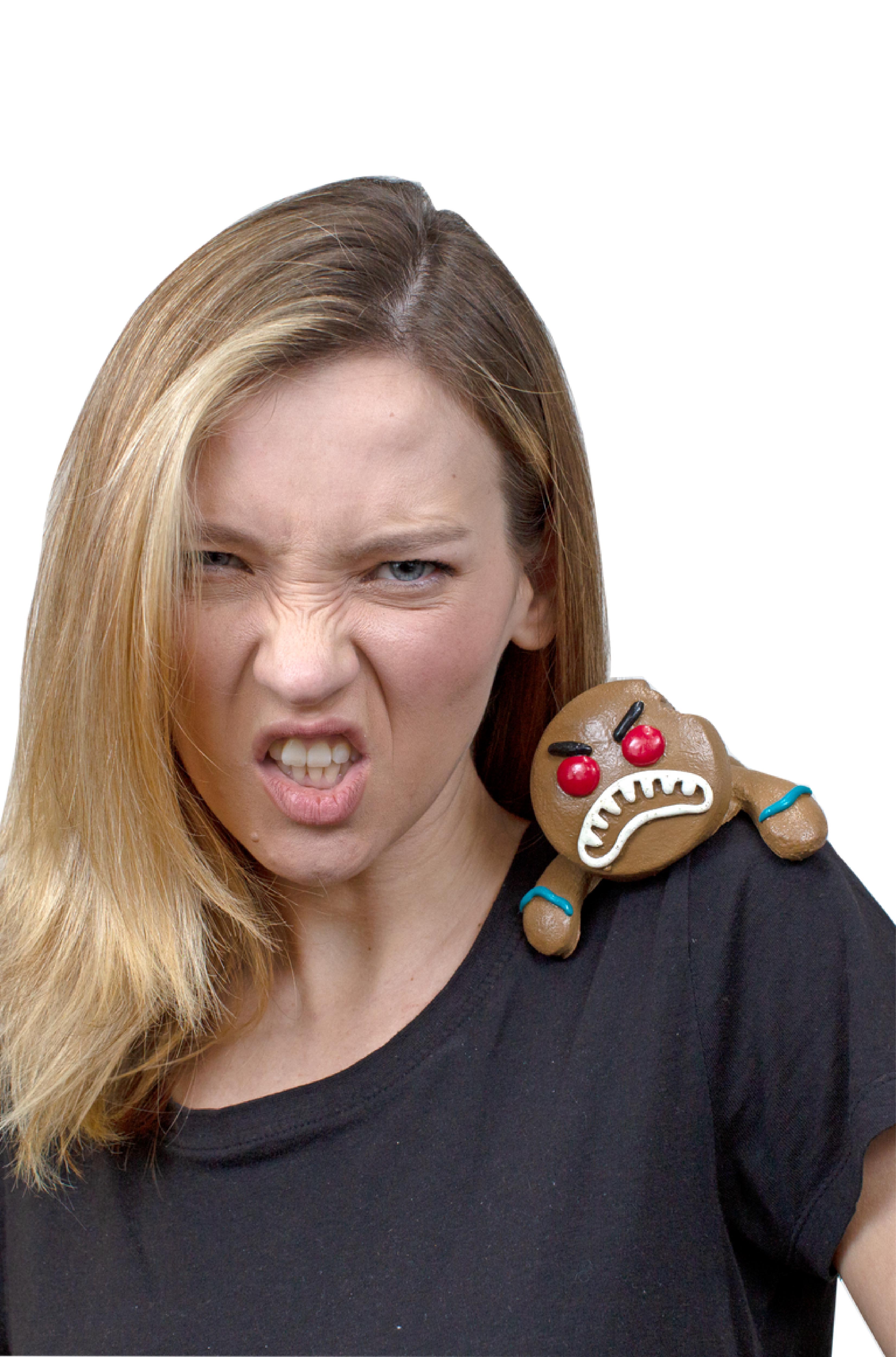Shoulder Buddy: Cookie | PartyExperts